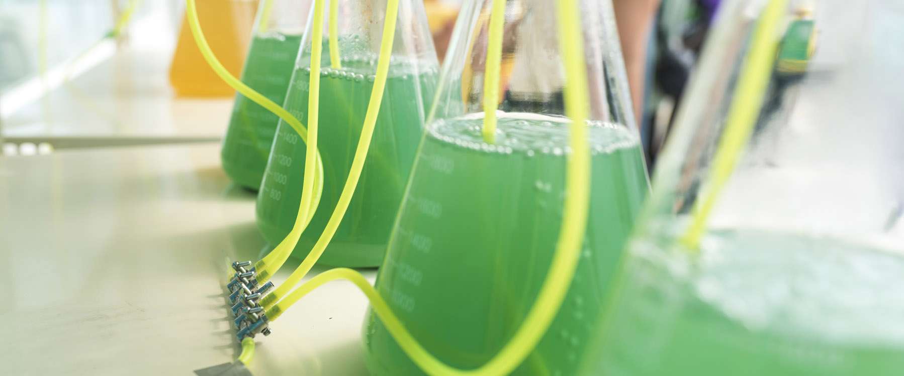 Industrial Biotechnology – ICGEB